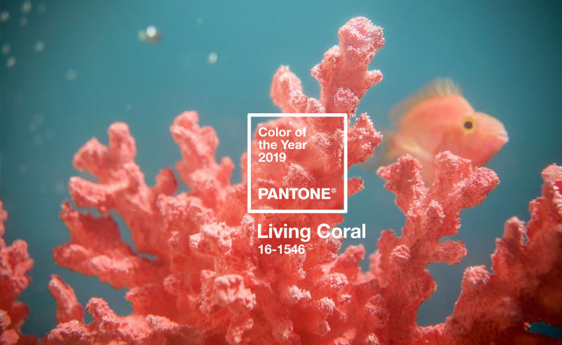 A nova cor Pantone e como ela influencia as nossas vidas | Metrópoles