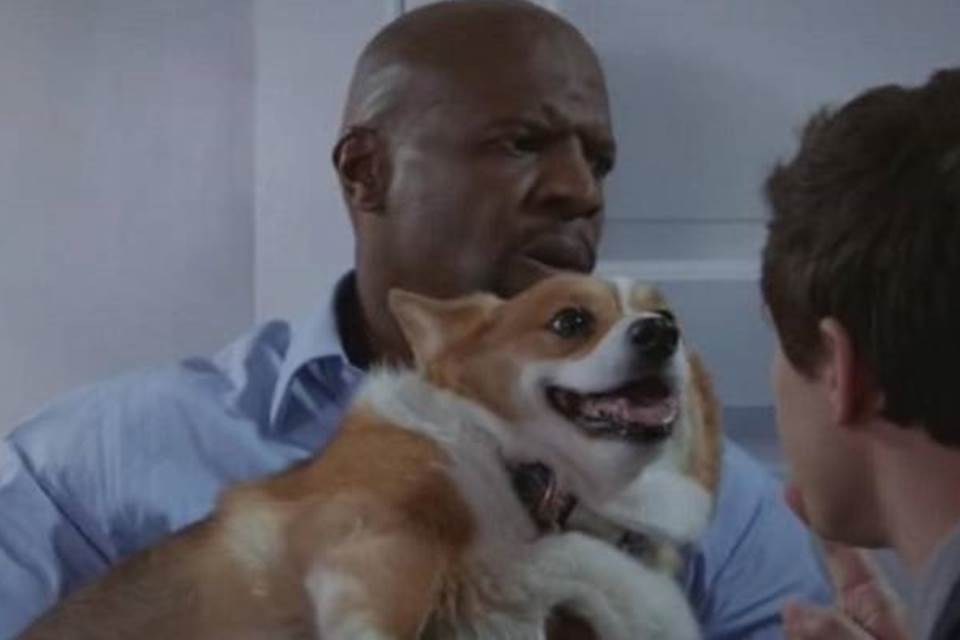 Cheddar, cãozinho da série Brooklyn 99, morre aos 13 anos