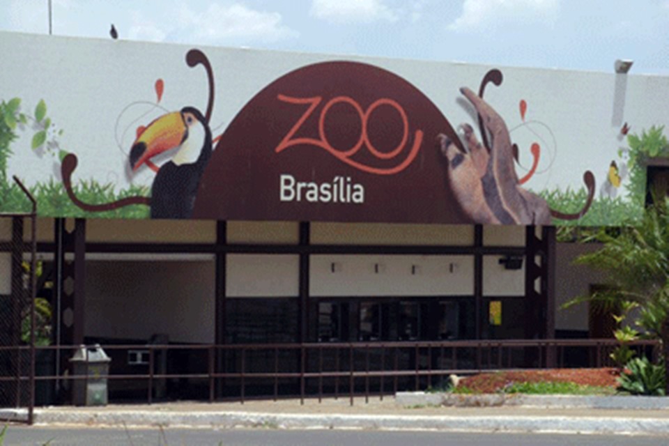 Zoológico de Brasília retoma visitas guiadas mediante agendamento