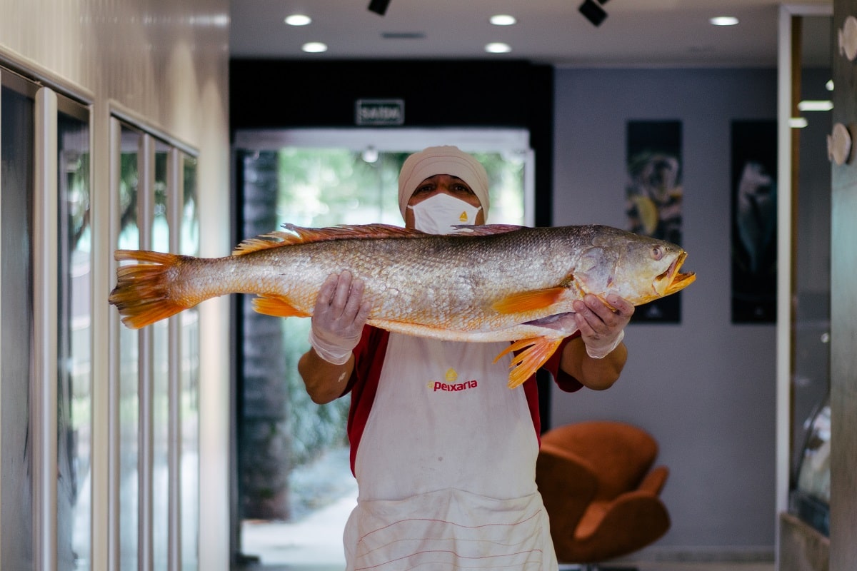 Rede A Peixaria inaugura loja conceito boutique de pescados em Brasília