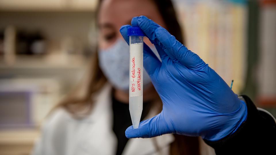 Cientistas da UFPR fazem vaquinha para desenvolver vacina anti-Covid ... Cientistas da UFPR fazem vaquinha para desenvolver vacina anti-Covid ...