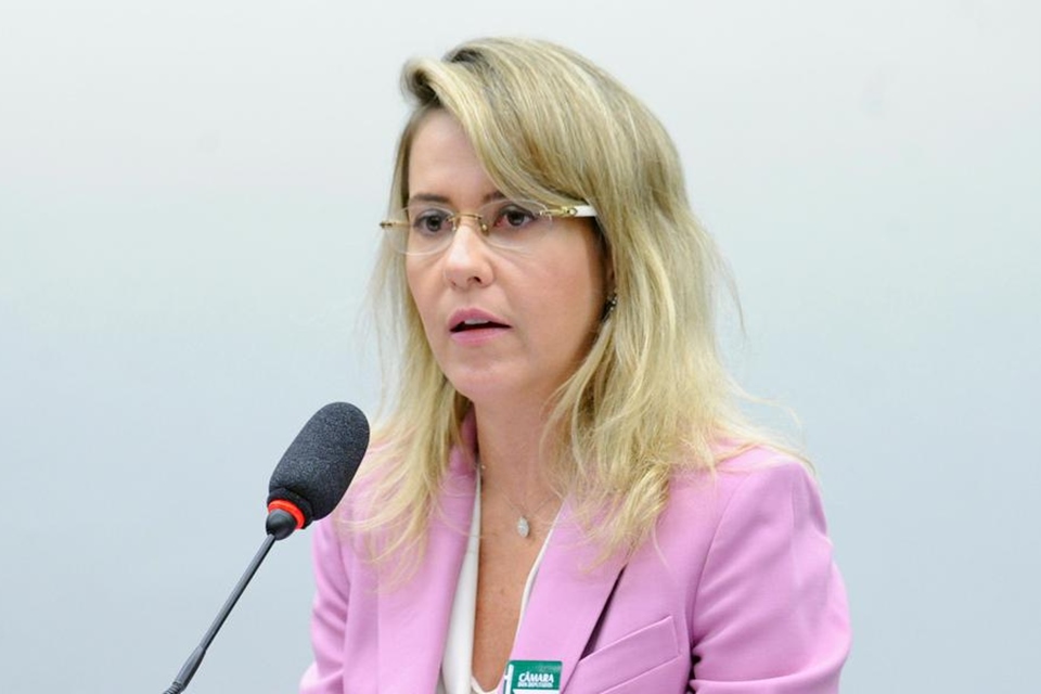 Projeto Elas Inovam festeja aniversário em evento com ministra do TSE