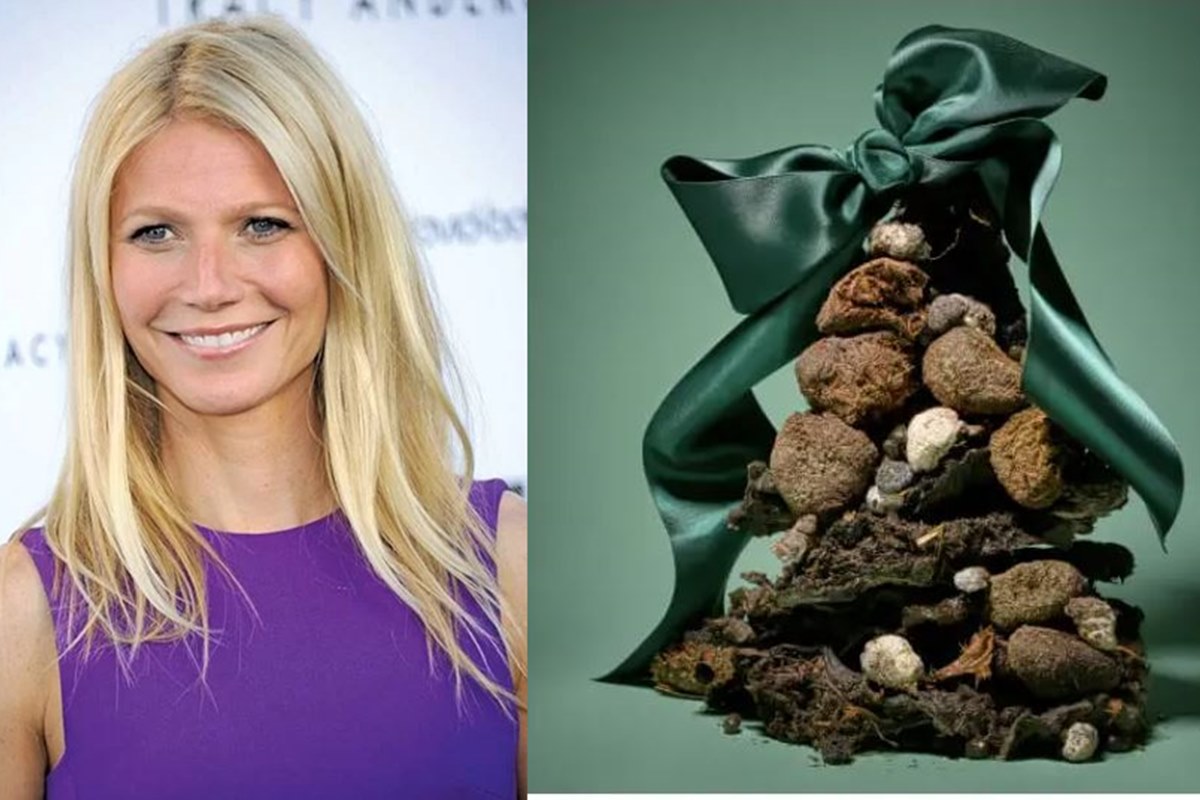 Gwyneth Paltrow vende cocô de animais como sugestão de “mimo” natalino ...