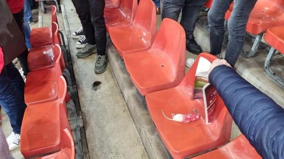 Torcedores jogam ratos mortos em arquibancada de torcida rival
