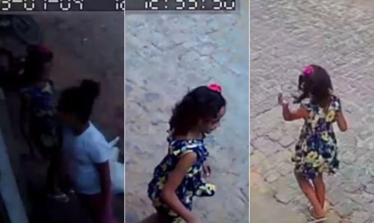Caso Ana Sophia: o que se sabe 8 meses depois do sumiço da menina