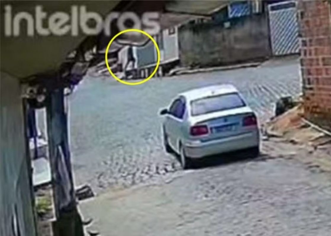 Caso Ana Sophia: o que se sabe 8 meses depois do sumiço da menina