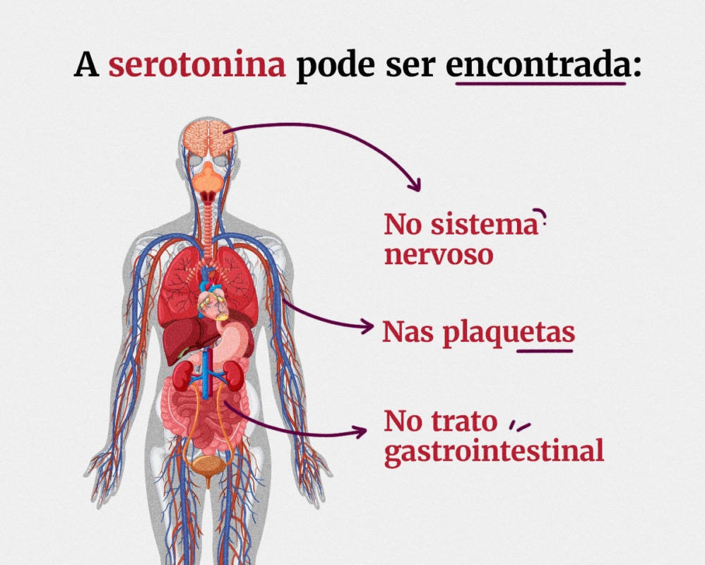 Ciência da felicidade: entenda o papel da serotonina no organismo ...