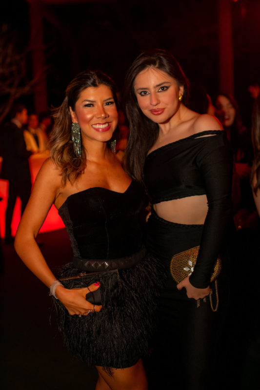 Isabel Pinheiro comemora 15 anos com festa deslumbrante e animada ...