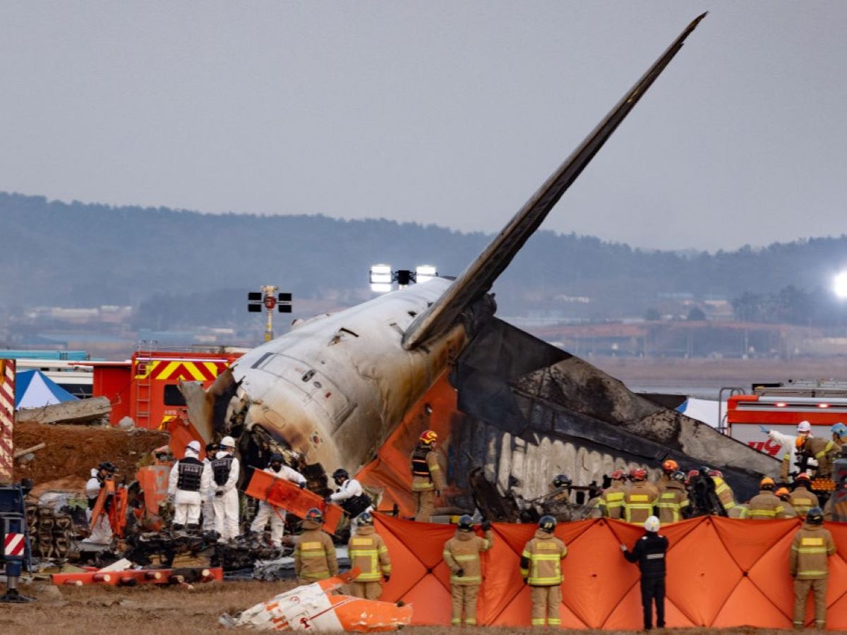 Coreia Do Sul Avião Que Explodiu Foi Alertado De Colisão Com Pássaros